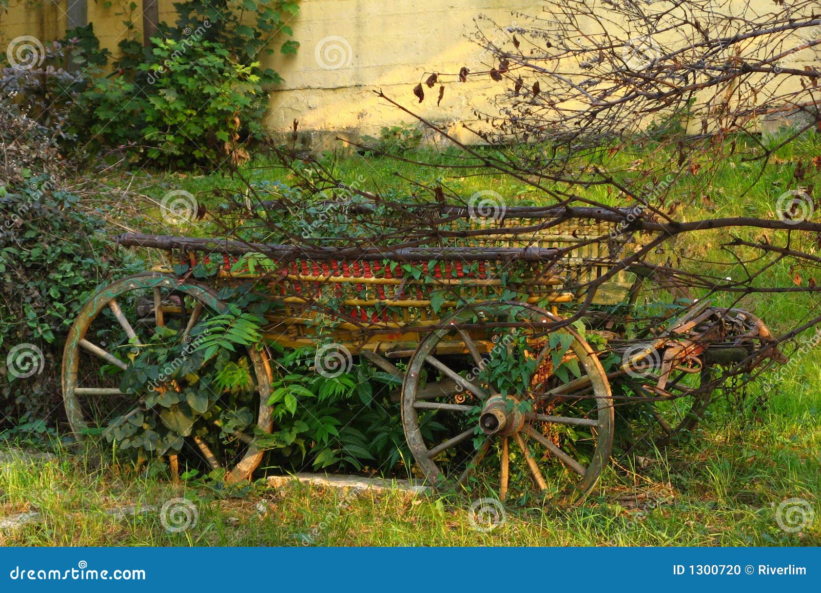 Old Buff Wagon stock photo. Image of western, cart, aged - 1300720