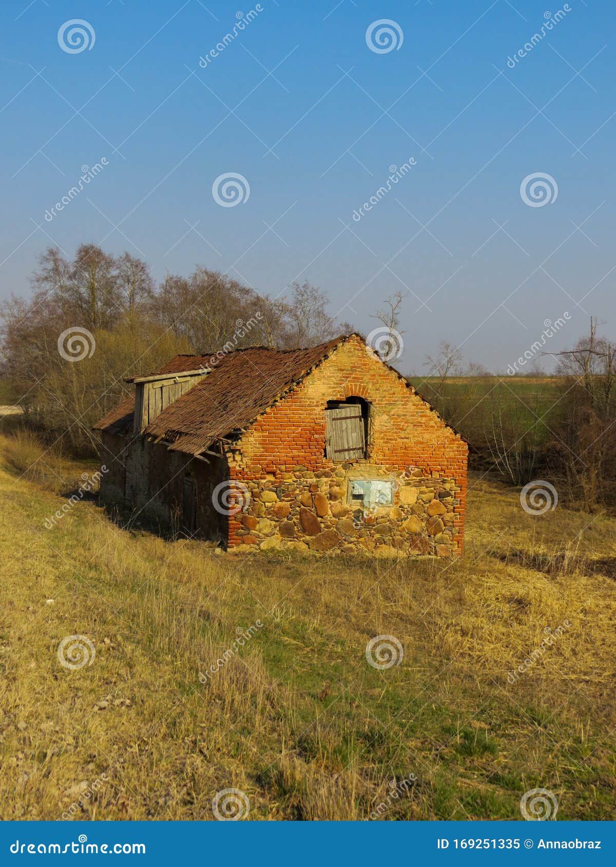 Old Building of a Collapsed Barn in a Field on a Farm in Latvia Stock ...