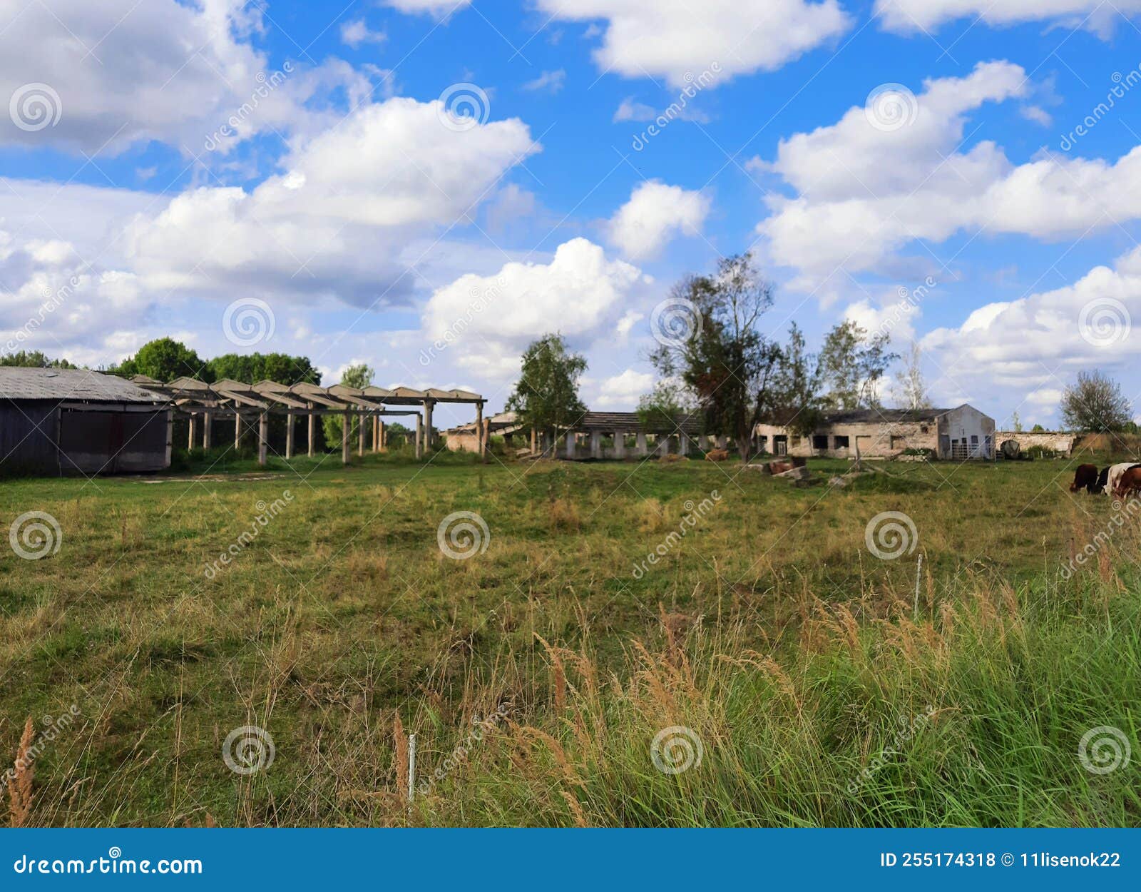 The Old Building of a Dilapidated Farm for Cows Stock Photo - Image of ...