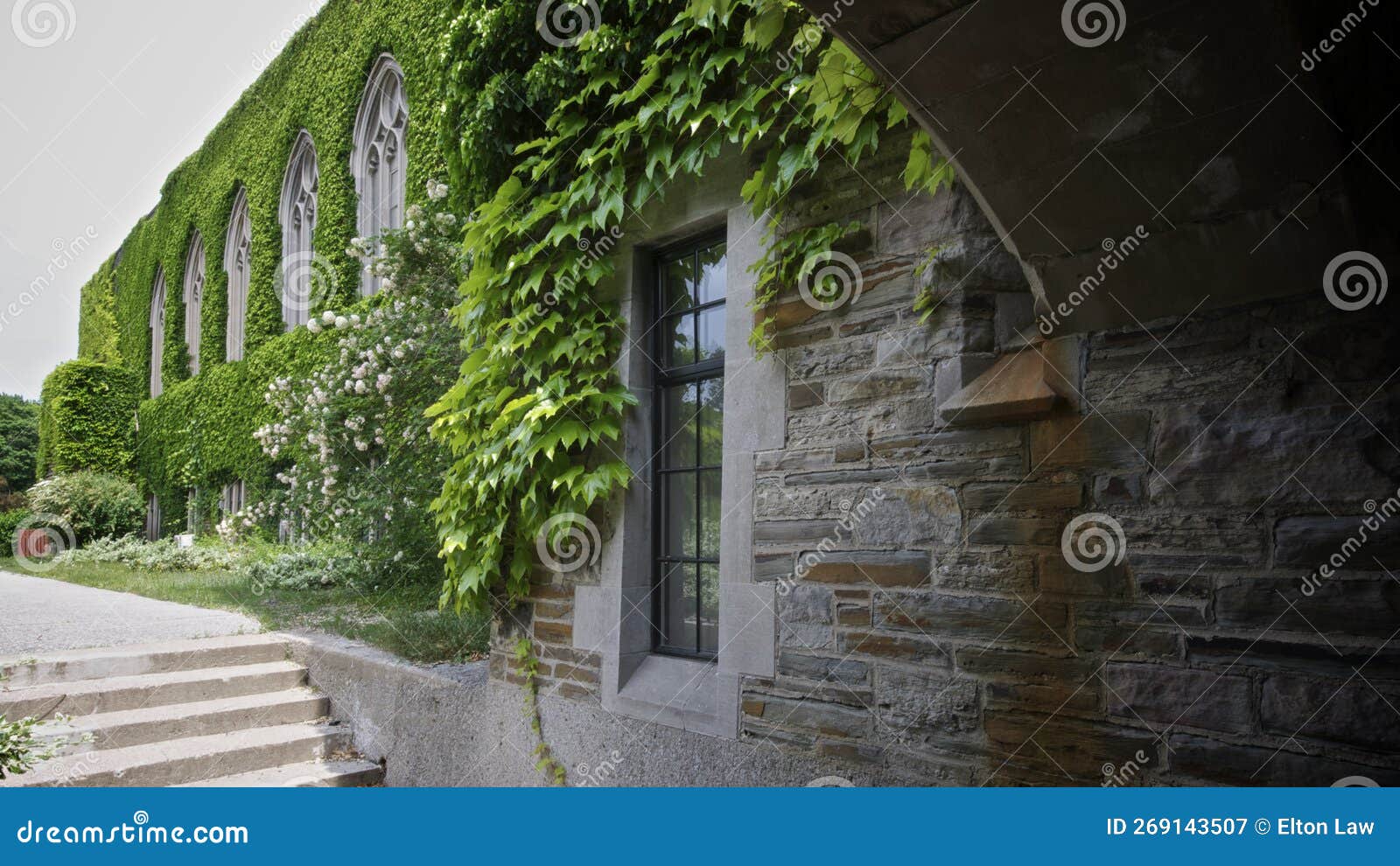 Old Building Exterior with Vine Plants Stock Image - Image of built ...