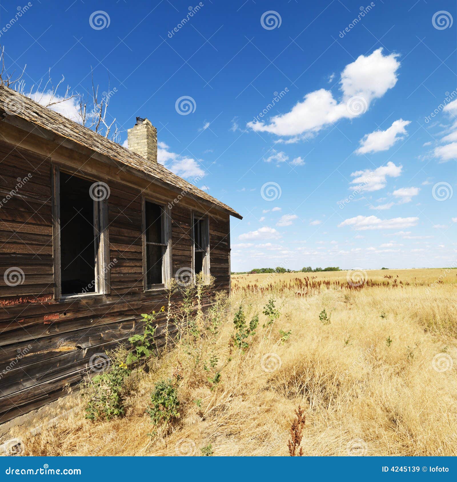 Old building in field. stock image. Image of dakota, overgrown - 4245139