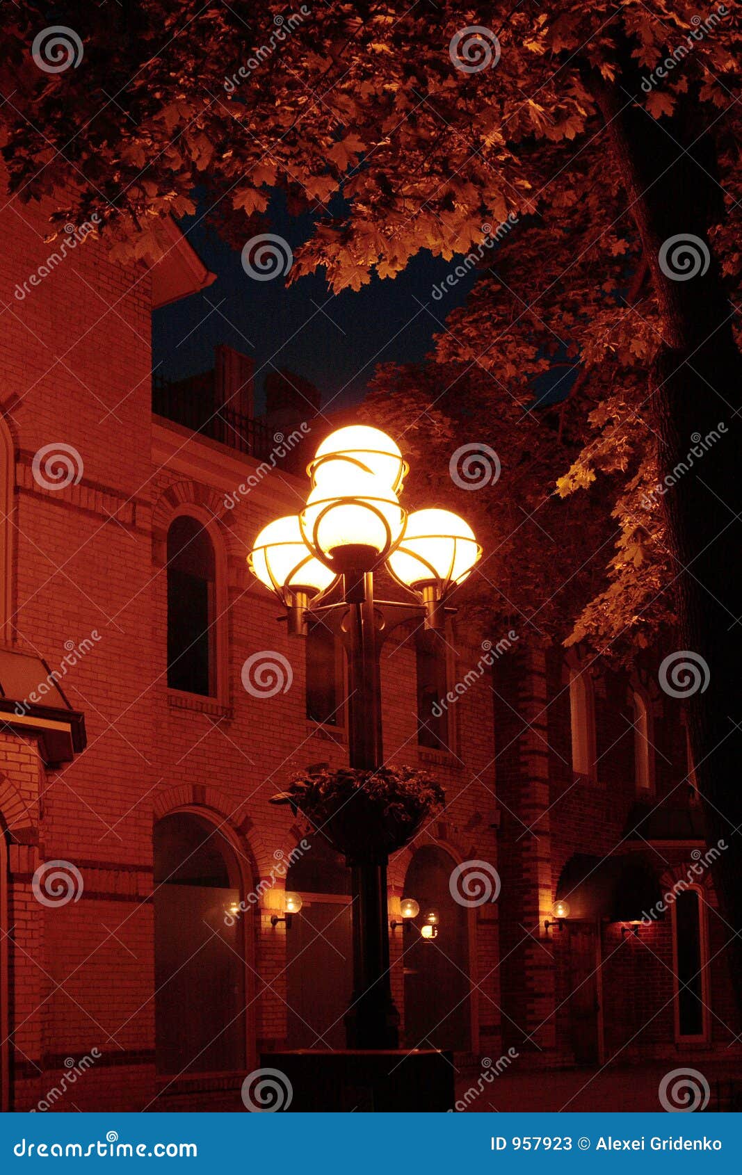 Old Building, Street Lamp and Maple Tree at Nigh Stock Image - Image of ...