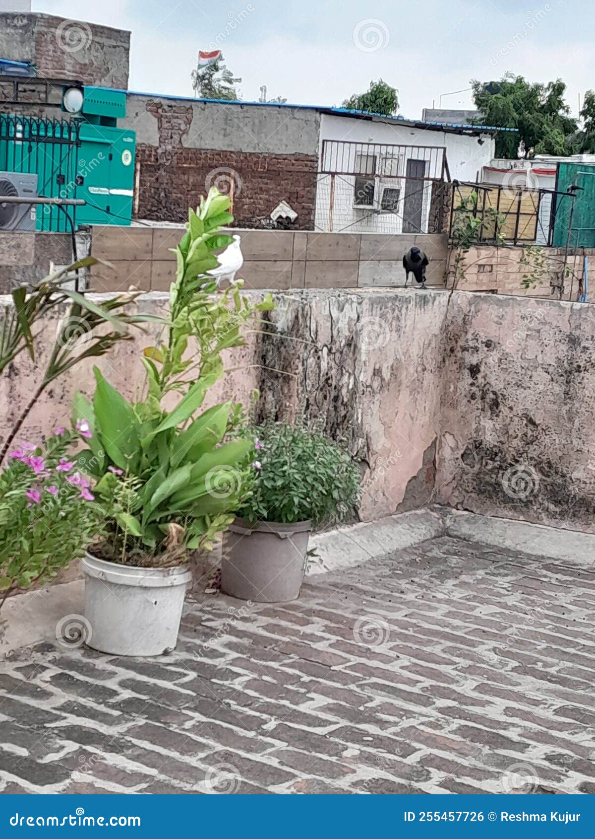 OLD Building Terrence Day View Stock Photo - Image of terrence, view ...