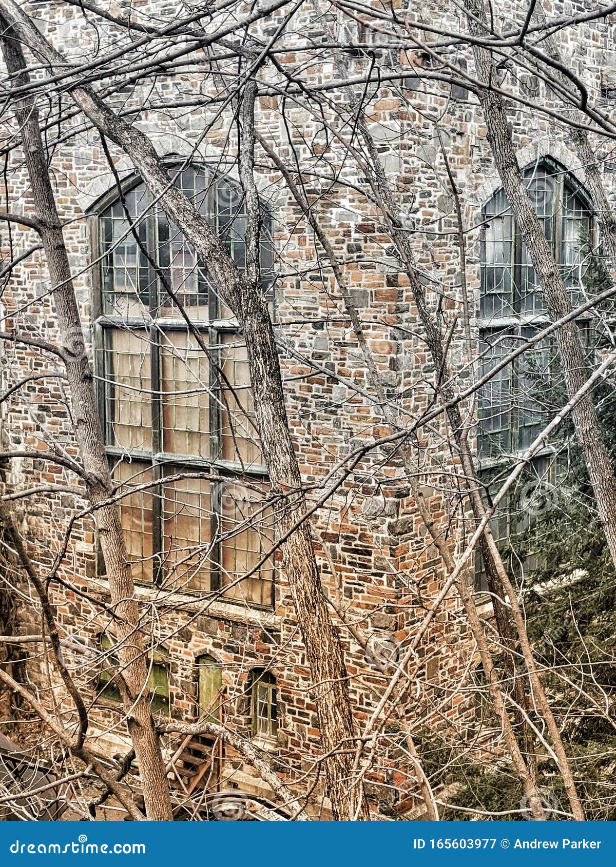 Old Building in the Trees Windows Brick Stock Image - Image of brick ...