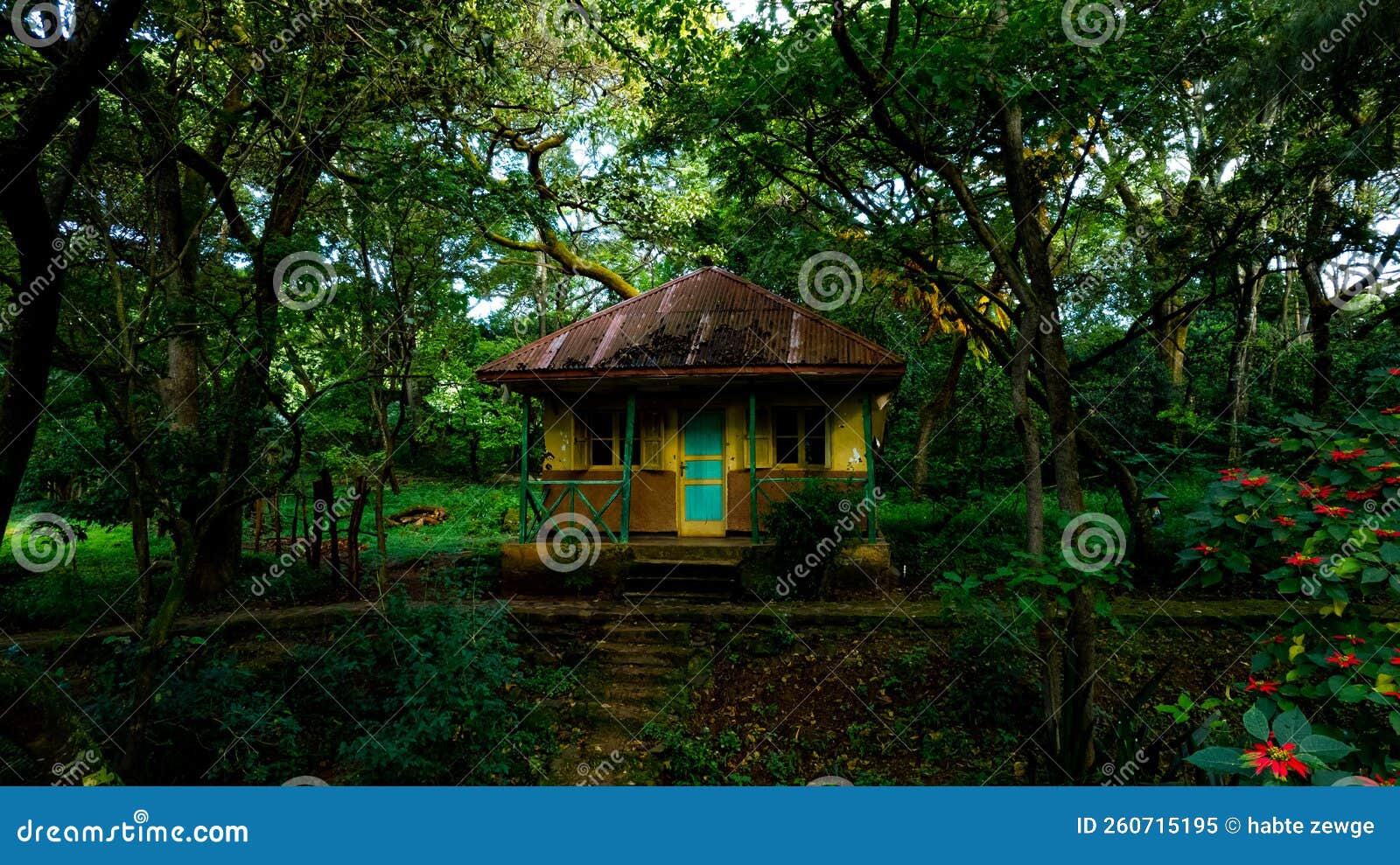 Old Buildings in Forest Ethiopia Stock Image - Image of jungle, green ...