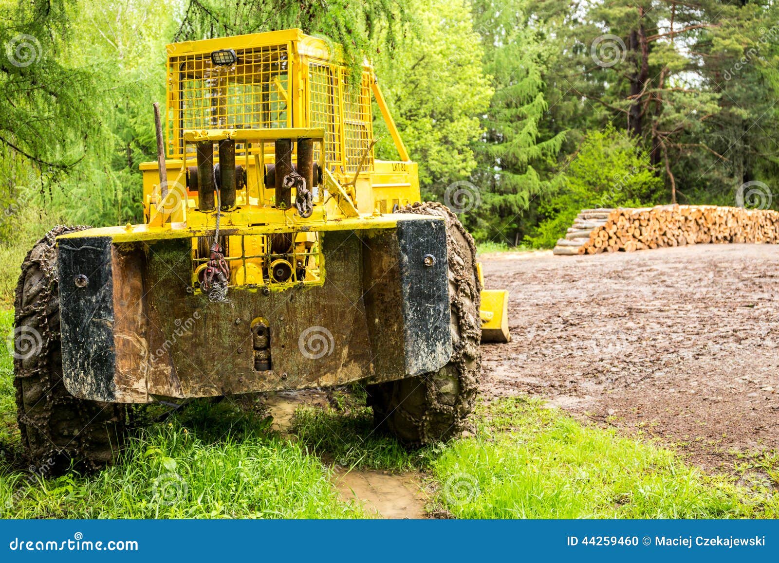Old bulldozer in a forest stock photo. Image of felling - 44259460