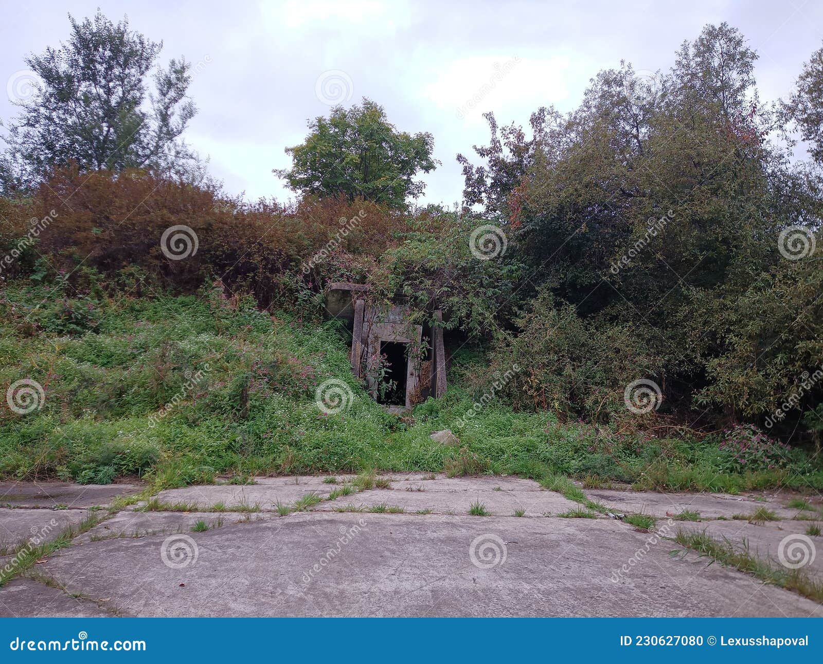 Old bunker stock photo. Image of yard, plant, shrub - 230627080