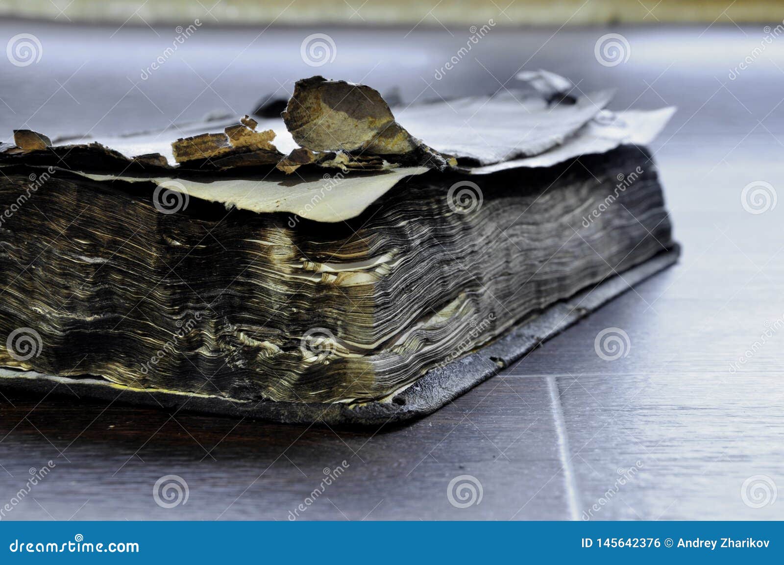 Old burnt book editorial photo. Image of black, wooden - 145642376