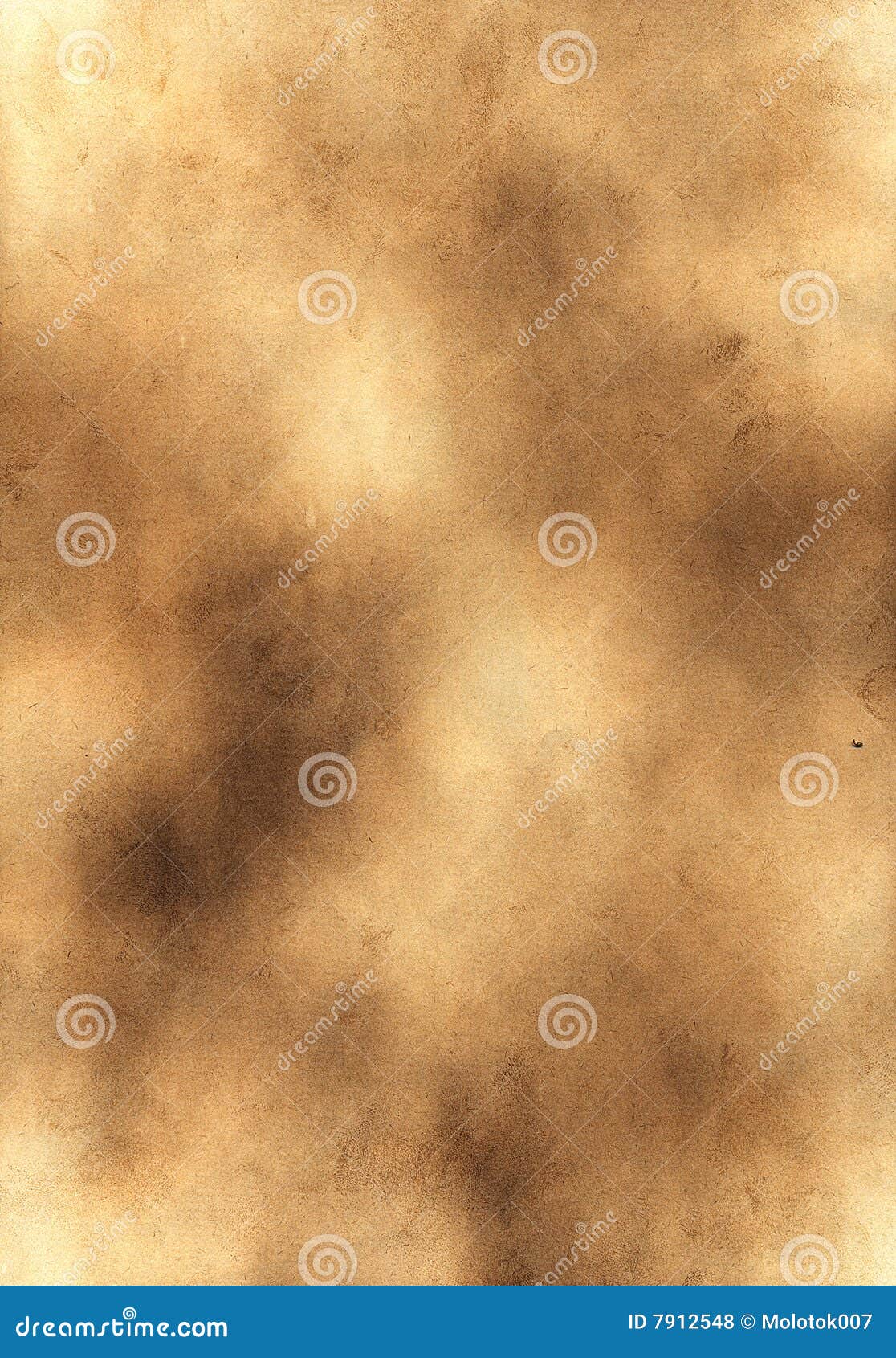 Old burnt paper stock photo. Image of aged, page, tracery - 7912548