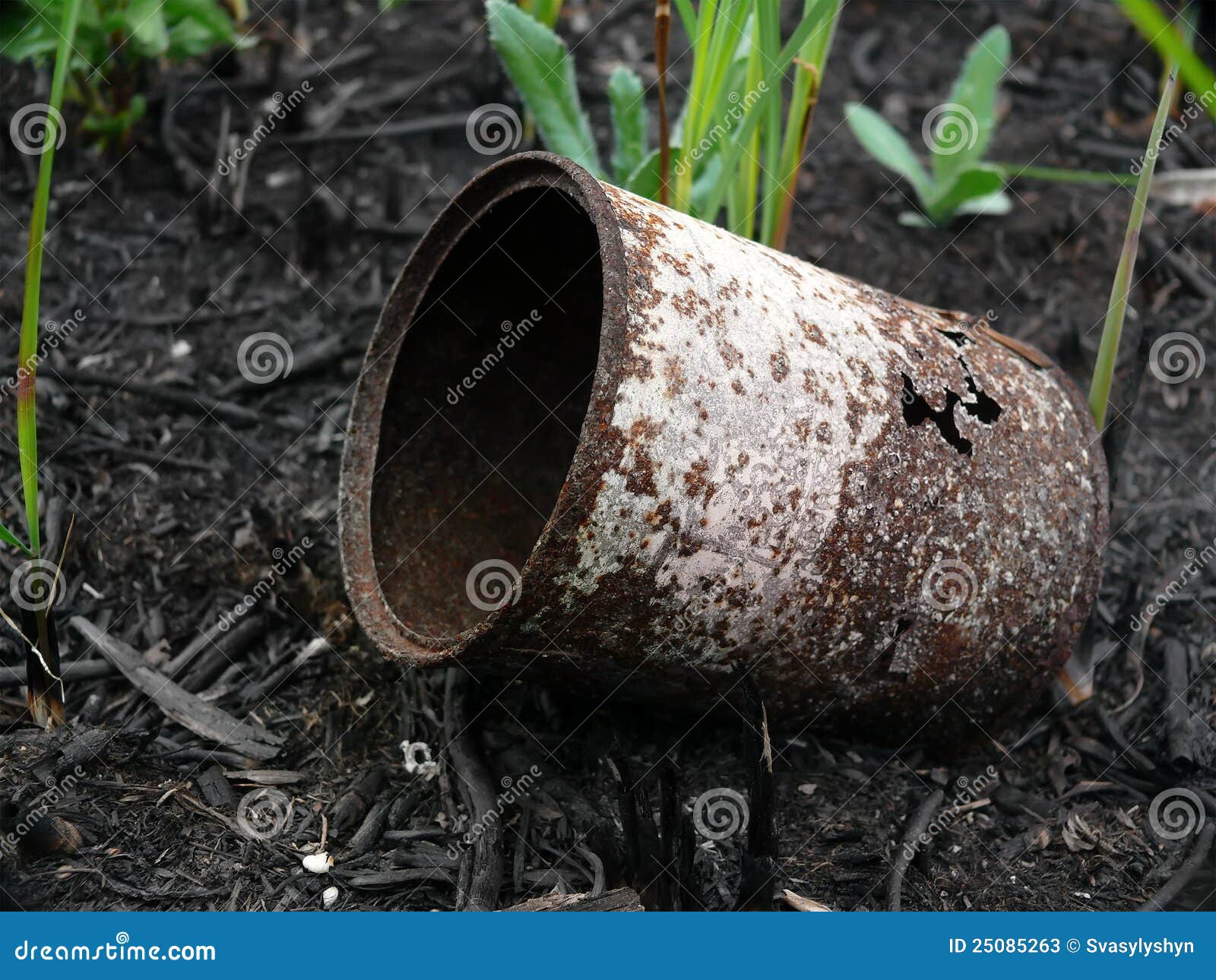 Old Burnt Rusty Tin Can Amidst a Young Grass Stock Image - Image of ...