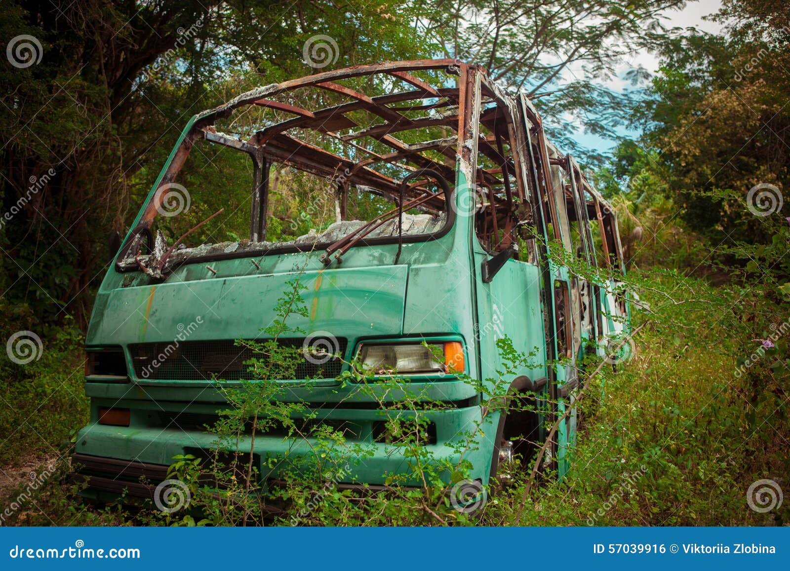 Old bus stock photo. Image of salvage, desolate, scrapyard - 57039916