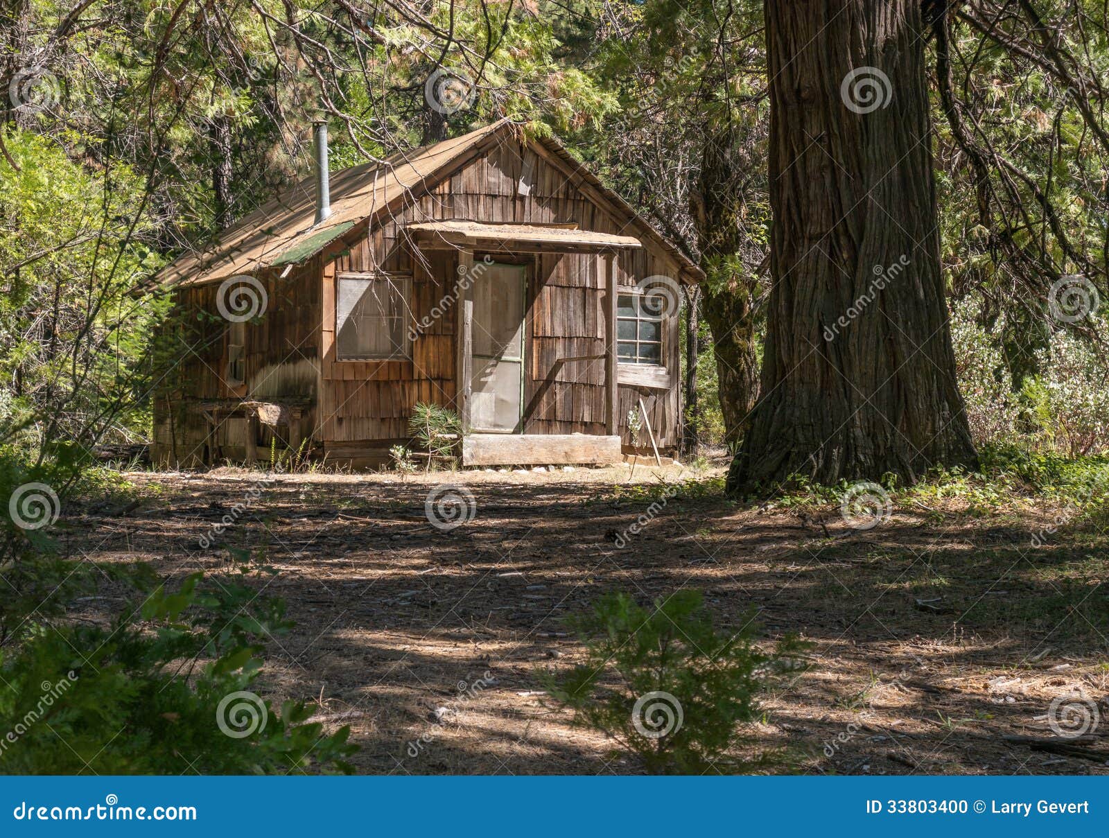Old cabin in the forest stock photo. Image of lonely - 33803400