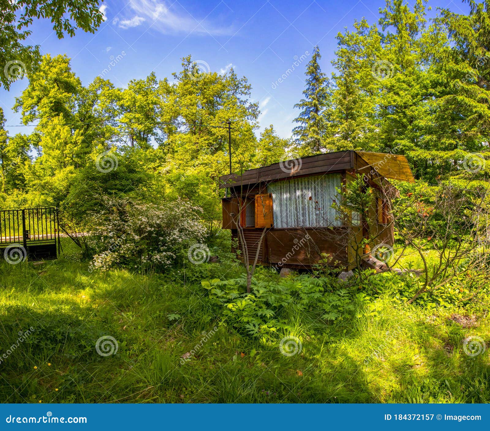 Old Cabin Hidden in the Woods at Spring. Stock Image - Image of cabin ...