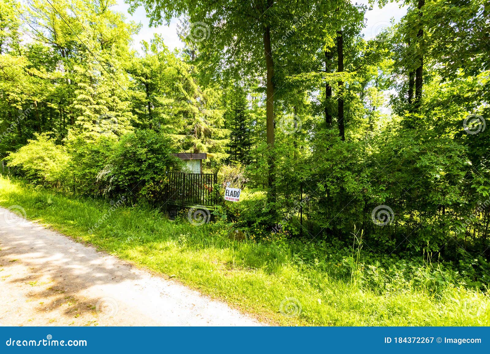 Old Cabin Hidden in the Woods at Spring. Stock Image - Image of house ...