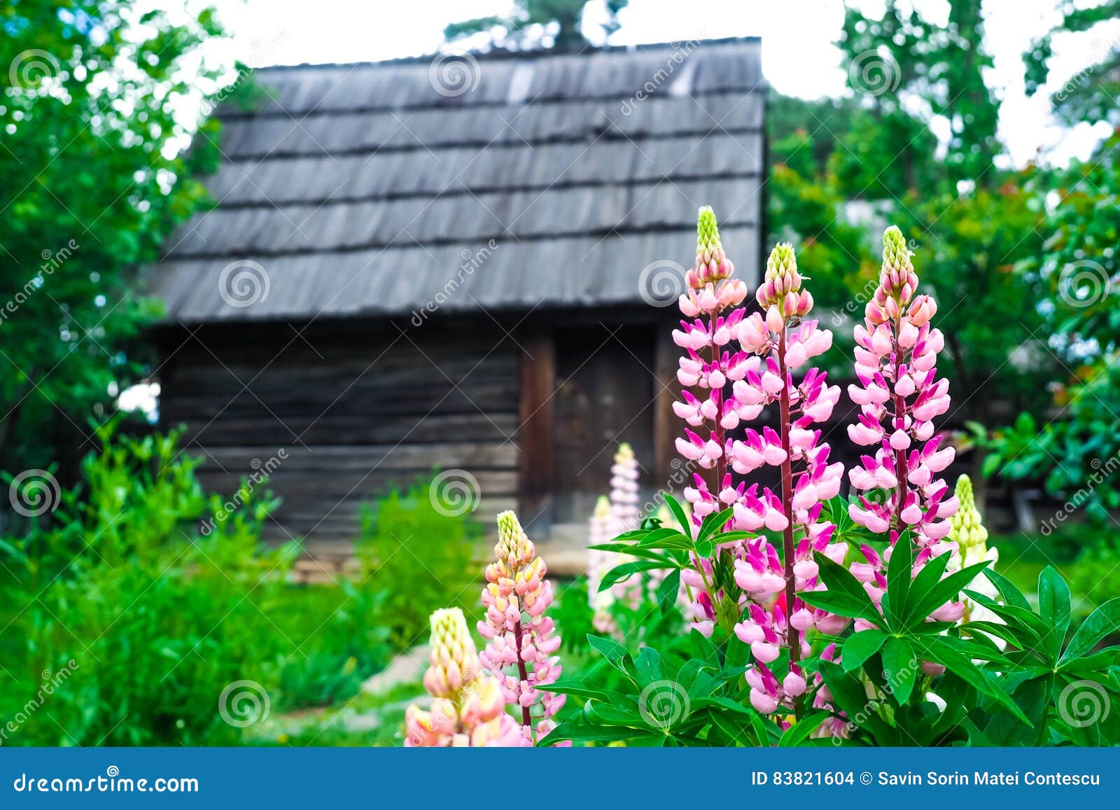 Old cabin stock photo. Image of geometric, beautiful - 83821604