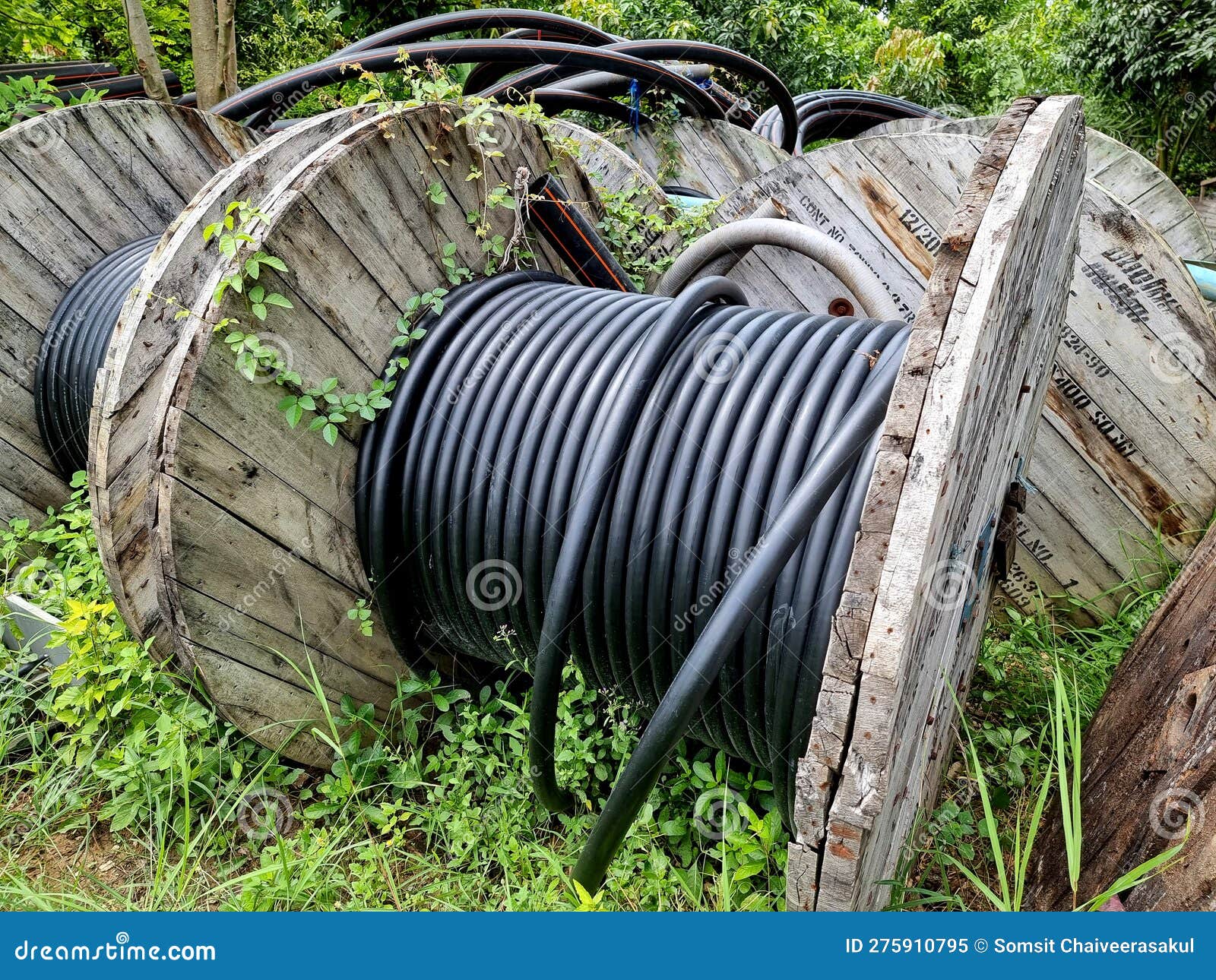 The Old Cable Left from the Electrical Substation Stock Image - Image ...
