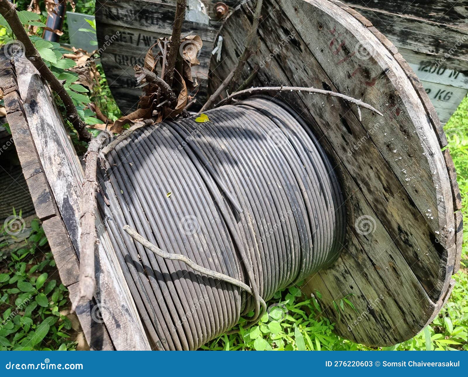 The Old Cable Left from the Electrical Substation Construction Stock ...