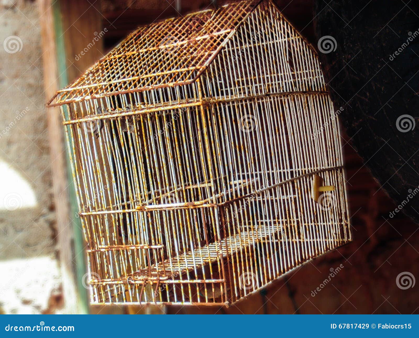 Old Cage stock image. Image of cage, rusty, empty, grids - 67817429