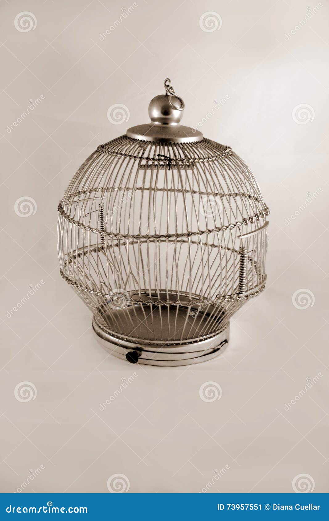 Old Cage Royalty-Free Stock Photo | CartoonDealer.com #73957551