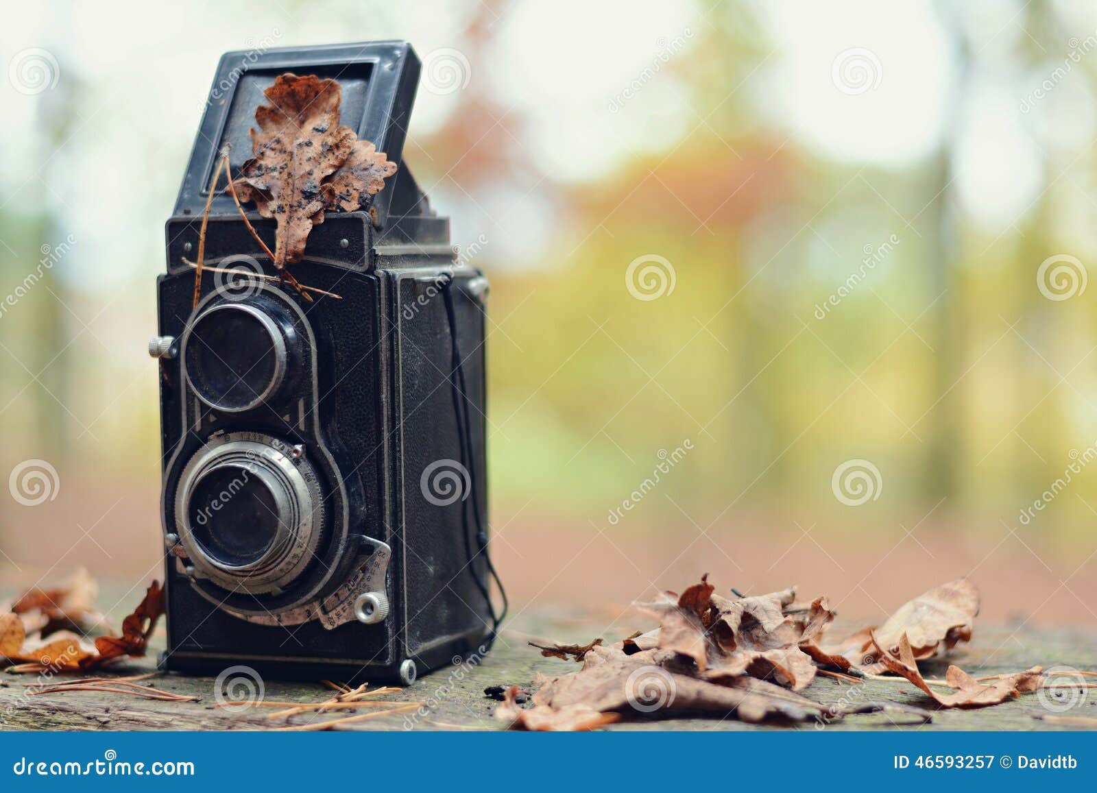 Old Camera in Autumn Leaves with Retro Effect Stock Image - Image of ...