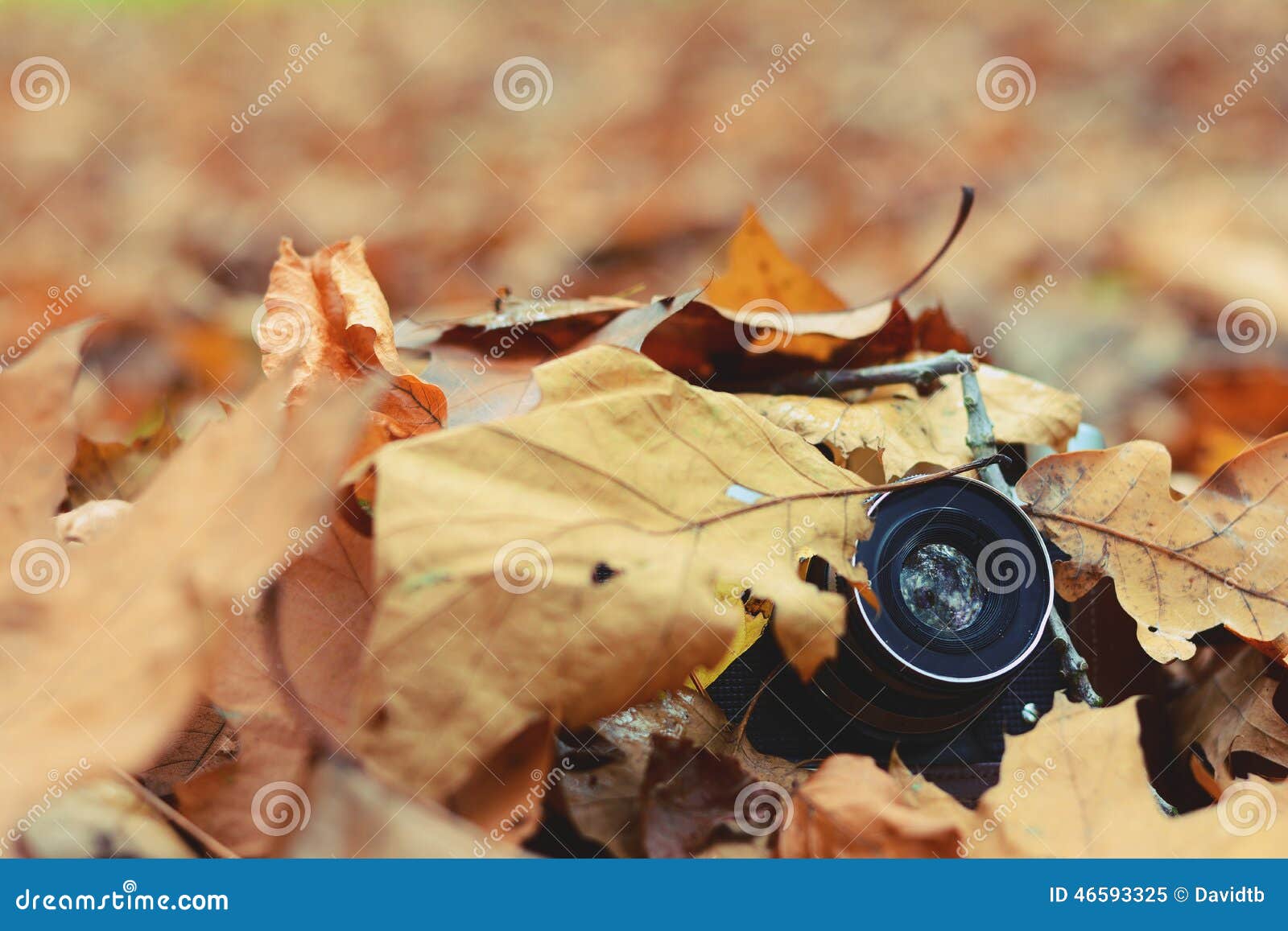 Old Camera in Autumn Leaves with Retro Effect Stock Image - Image of ...