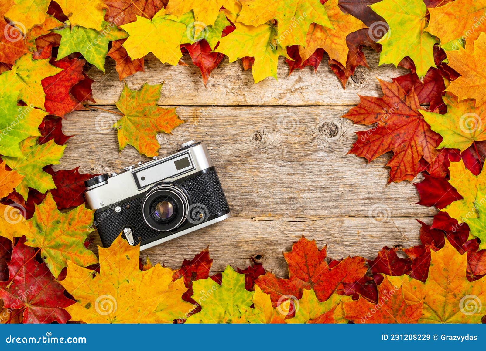 Old Camera and Colorful Autumn Maple Leaves Stock Image - Image of ...