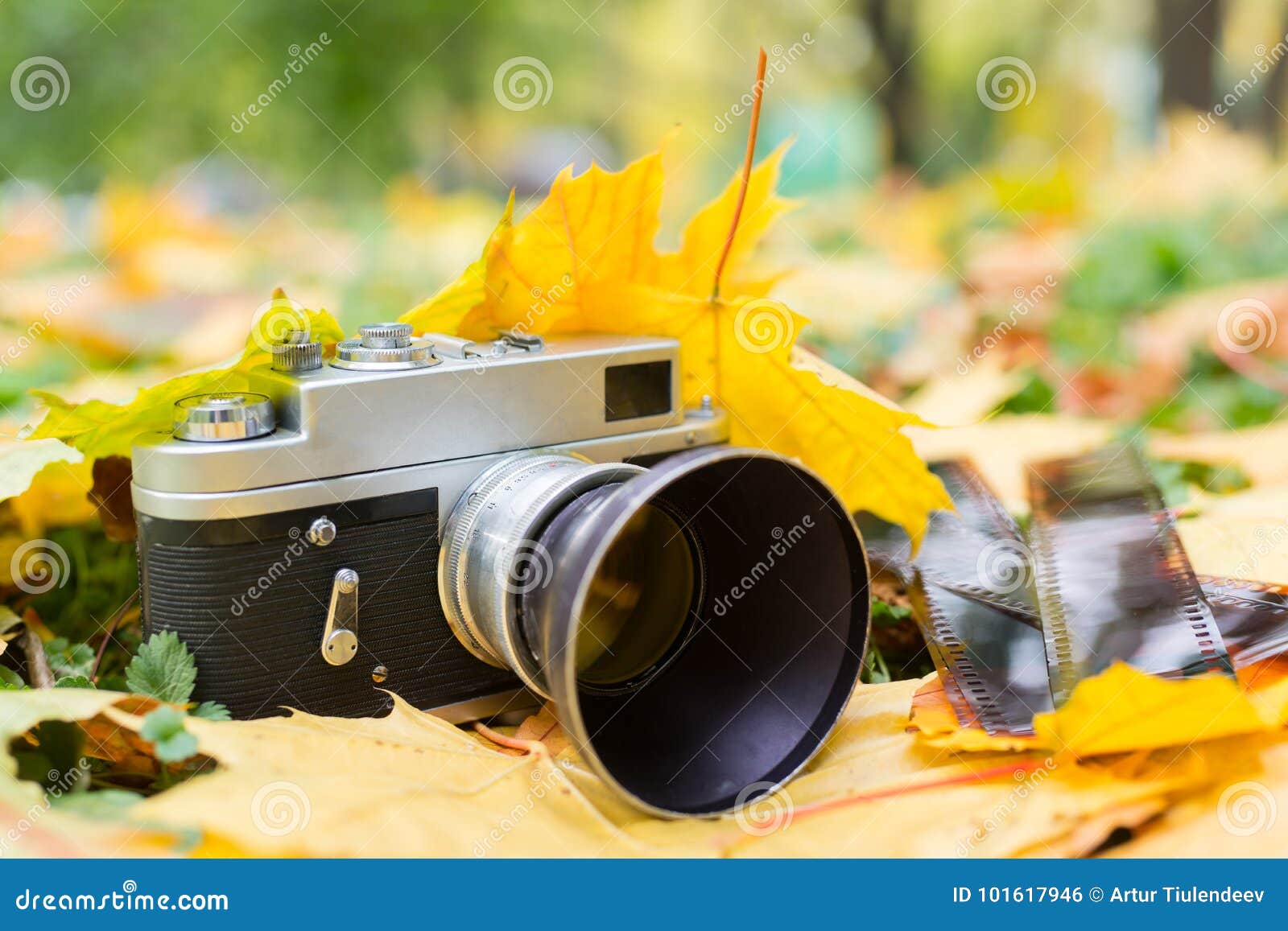 Old Camera on Yellow Autumn Leaves with Old Negatives Stock Photo ...