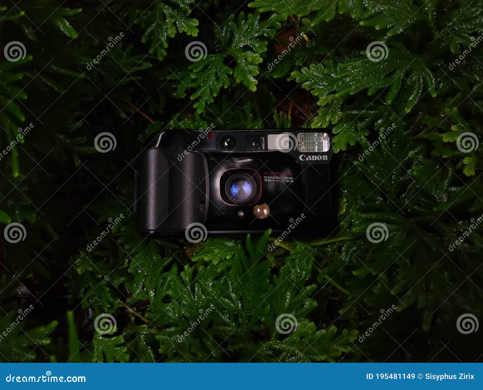 Old Canon Camera on Green Background Stock Image - Image of background ...