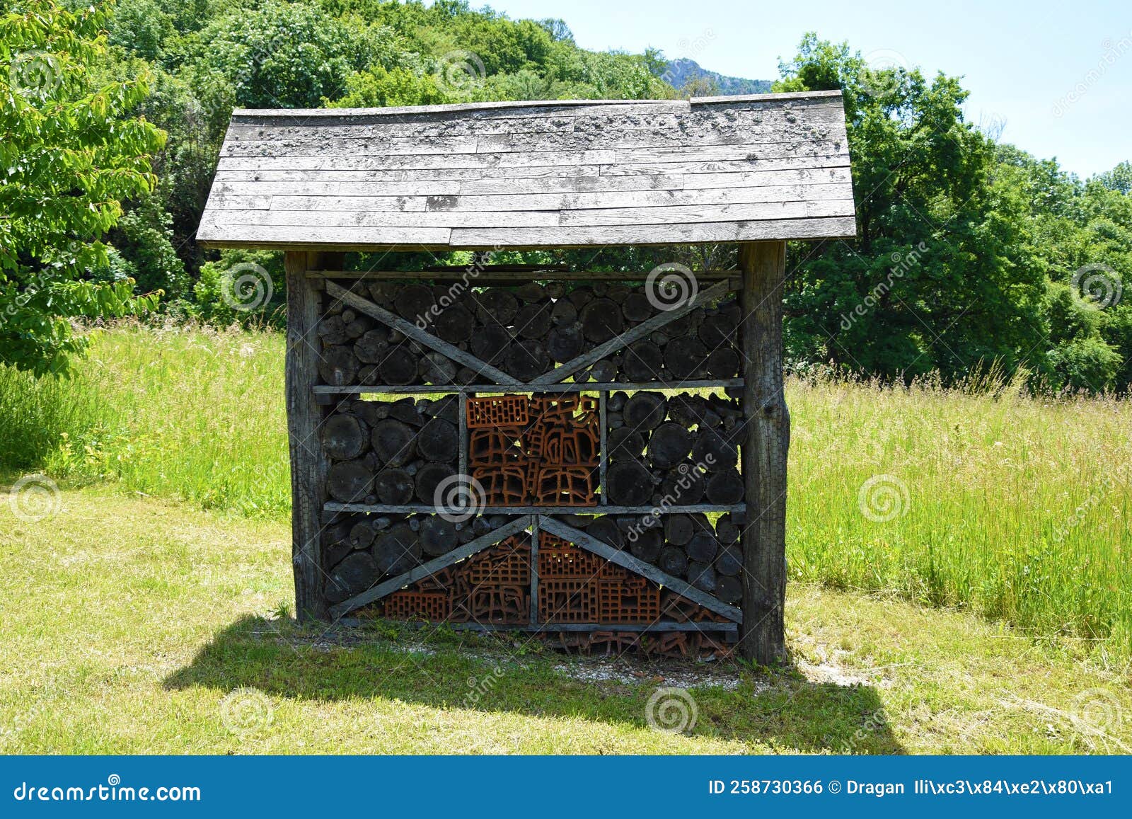 Old Canopy with Stored Fire Wood Stock Photo - Image of landmark ...