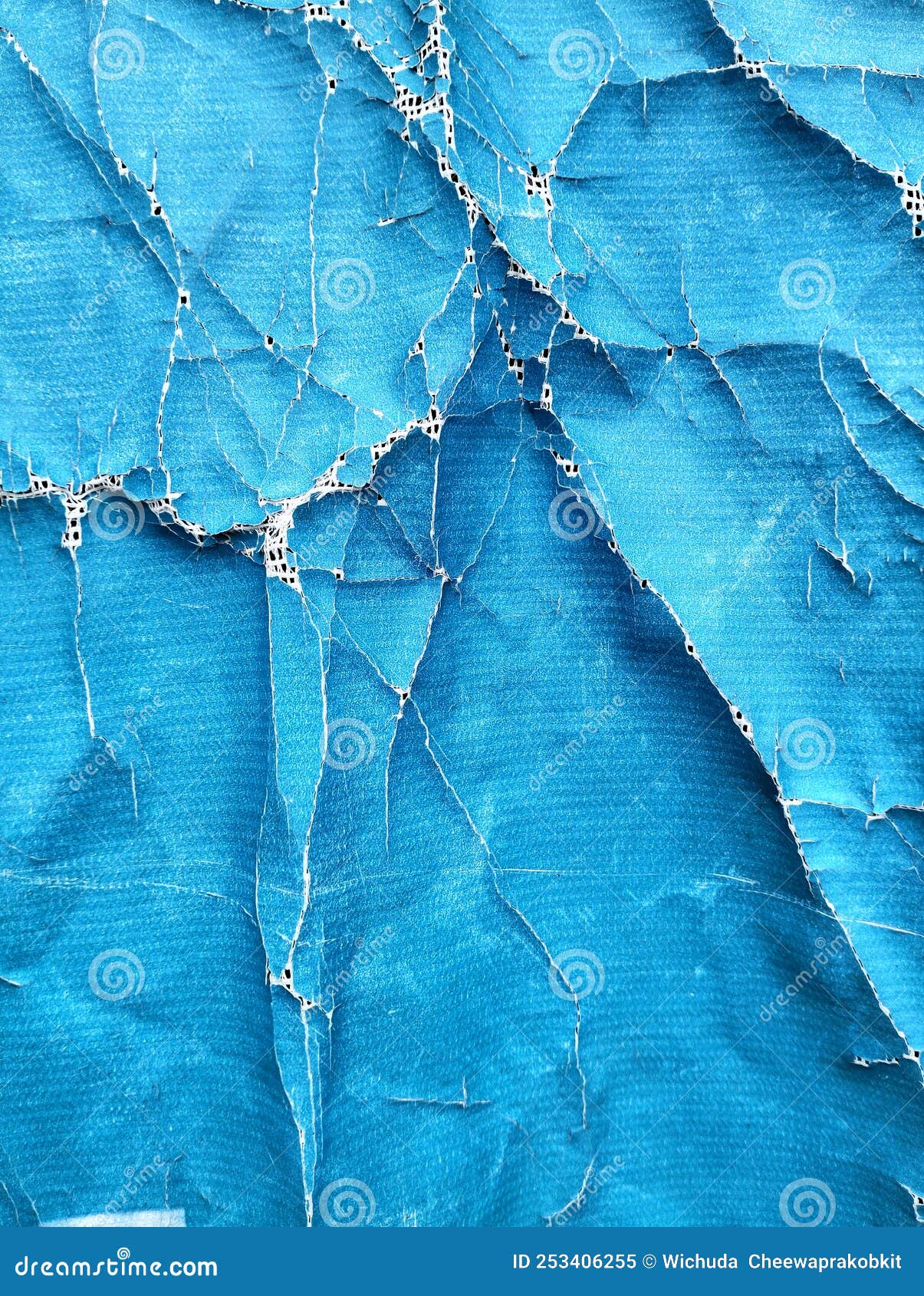 The Old Canvas is Torn and Damaged. Stock Image - Image of natural ...