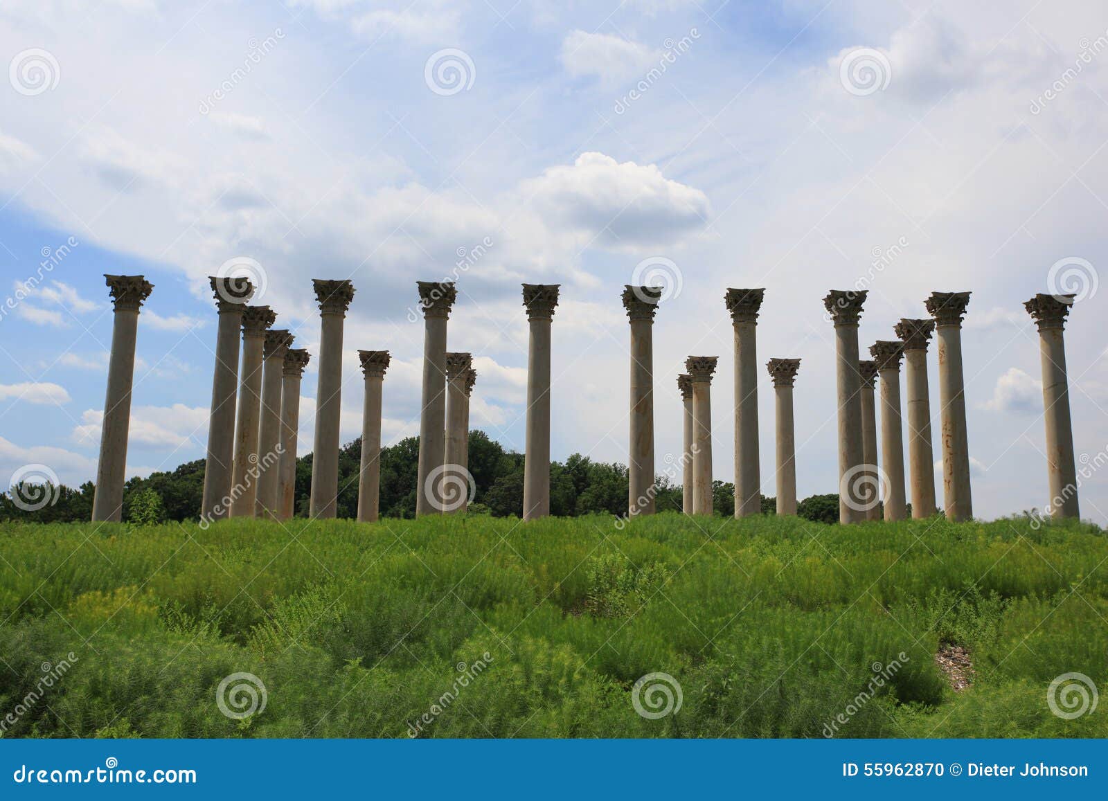 Old Capital Columns Washington DC Editorial Image - Image of arboretum ...