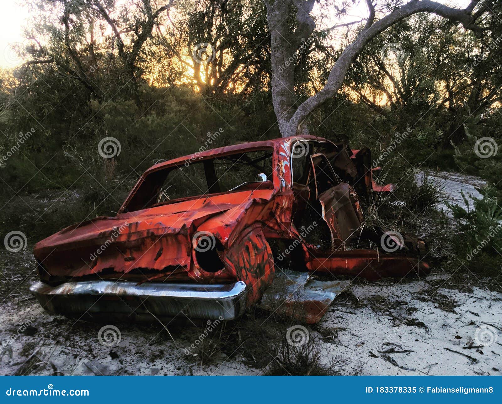 Old car crash in a park stock image. Image of rust, protest - 183378335