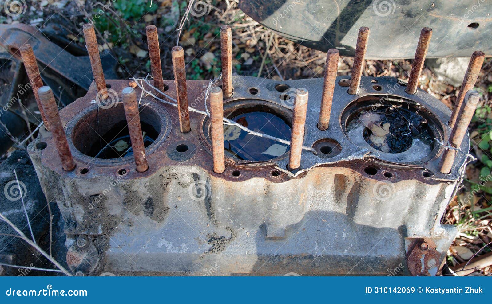 An Abandoned Car Engine in a Disassembled State Stock Image - Image of ...