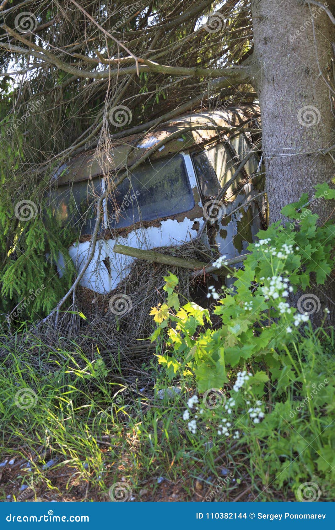 Old car stock photo. Image of destinations, branch, real - 110382144