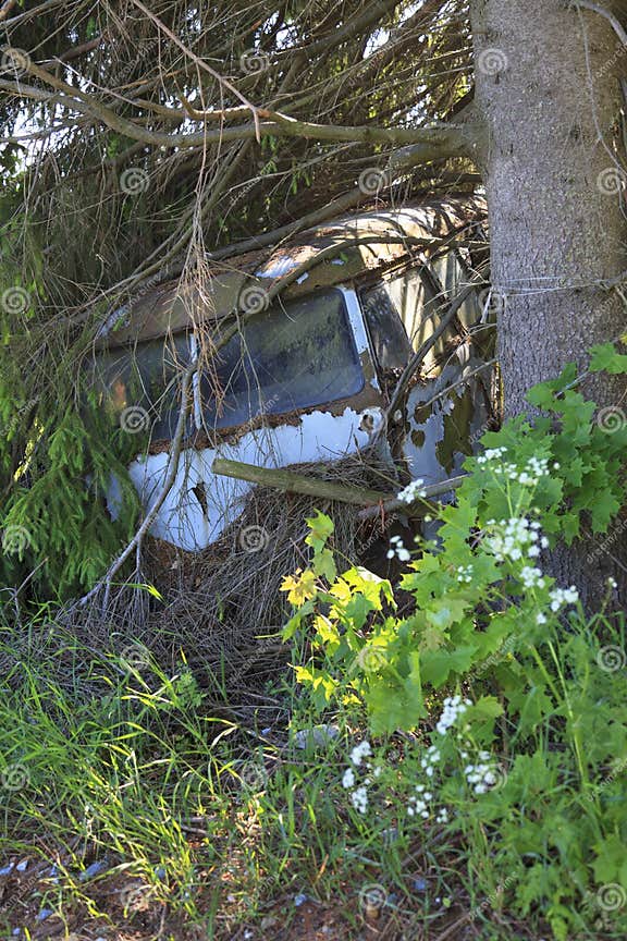 Old car stock photo. Image of destinations, branch, real - 110382144