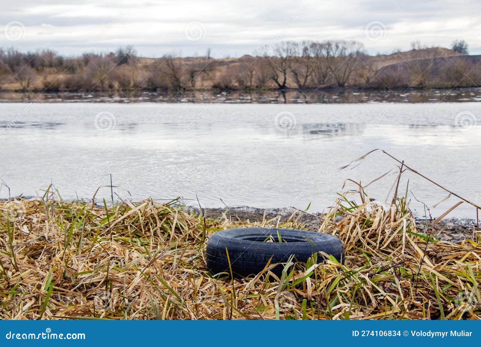 Old Car Tire on the River Bank, Environmental Pollution Stock Photo ...