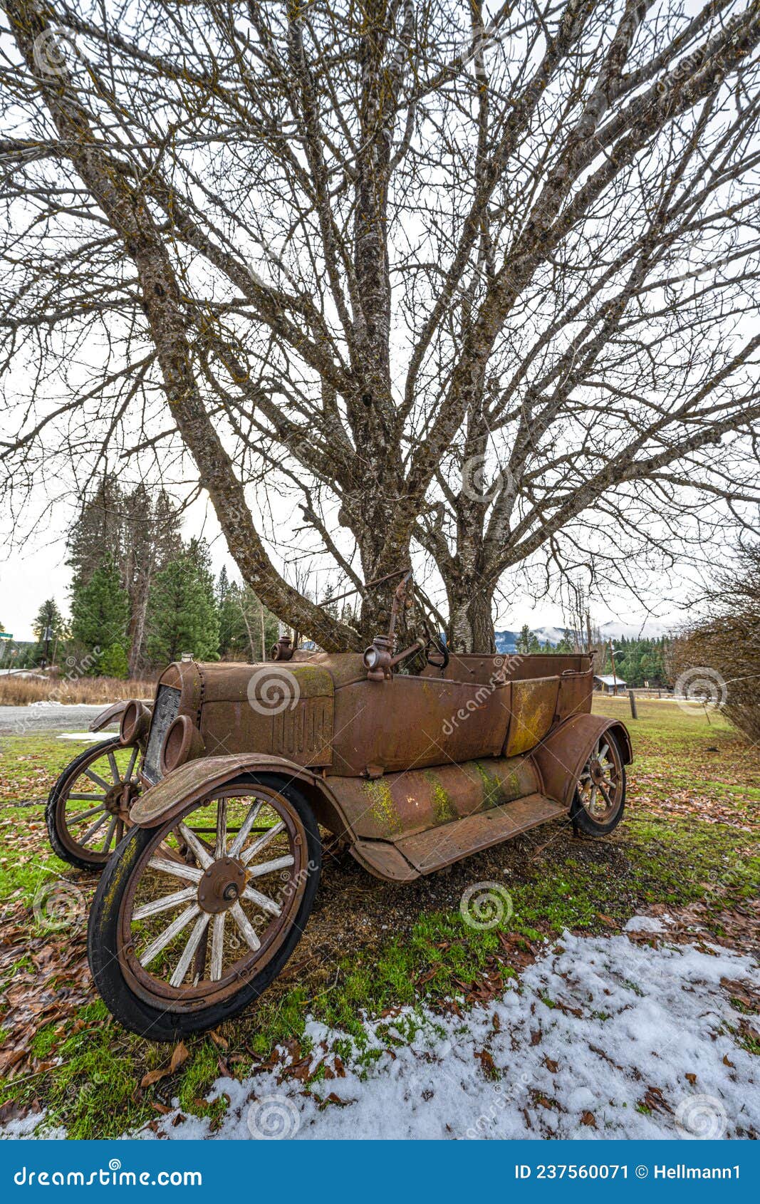 Old Car with Trees stock image. Image of antique, automobile - 237560071