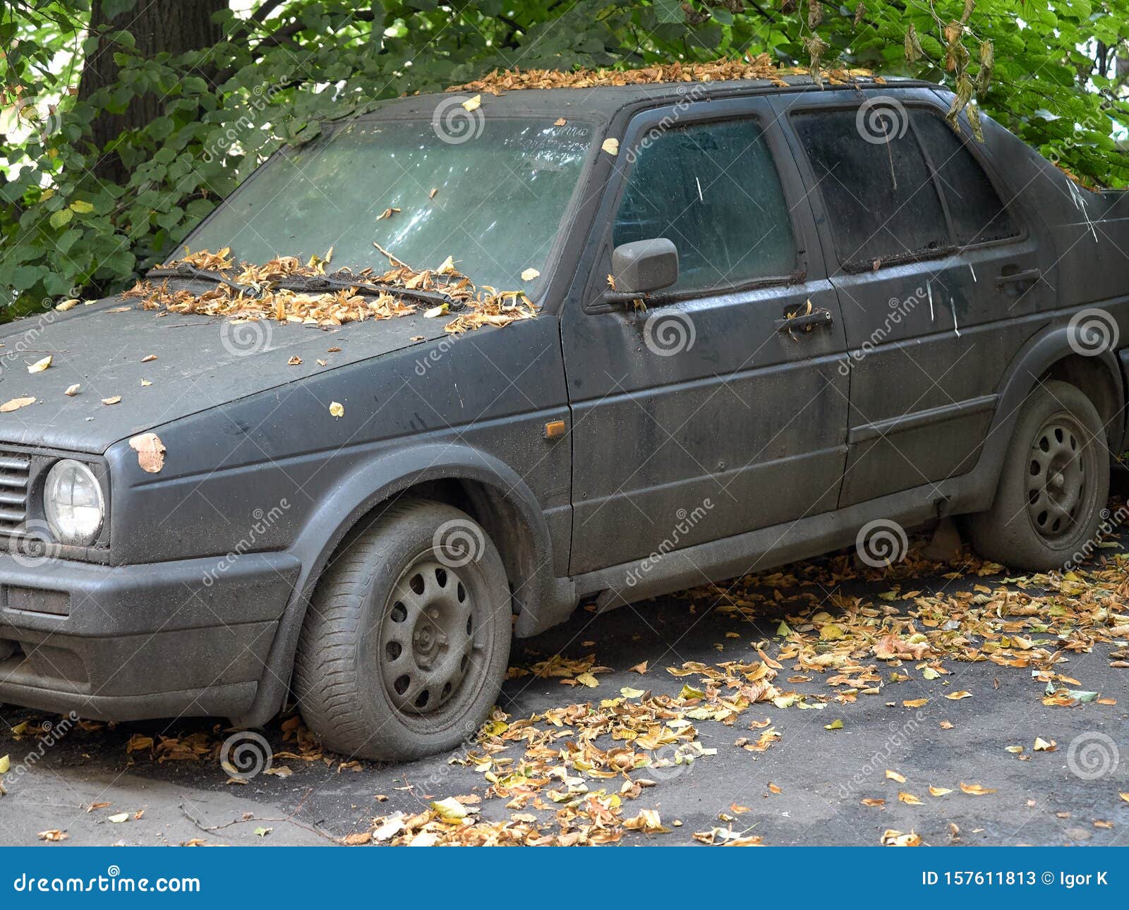 The Old Car is Under a Tree. Stock Image - Image of holiday, food ...