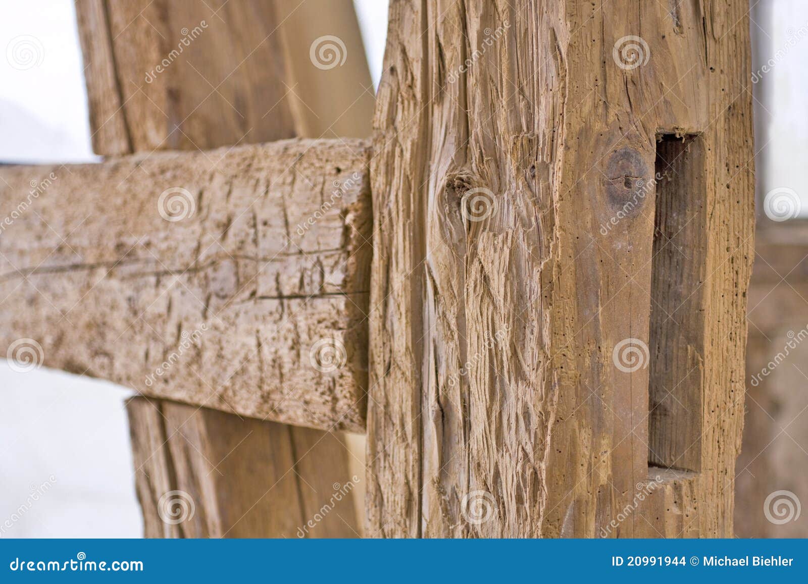 Old carcass with woodworm stock photo. Image of historic - 20991944