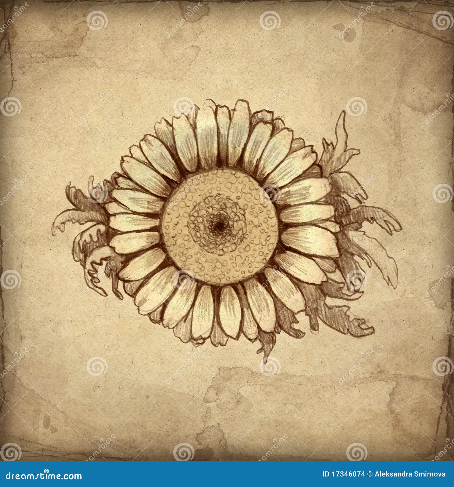 Old card stock illustration. Illustration of backdrop - 17346074