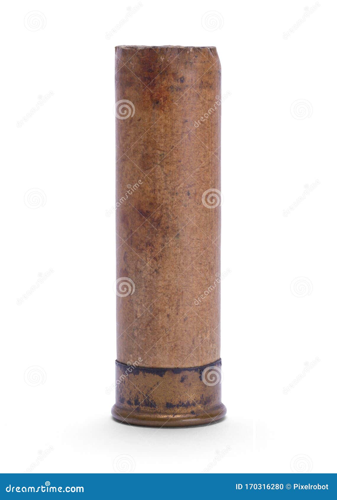 Shotgun Shell stock photo. Image of isolated, gauge - 170316280