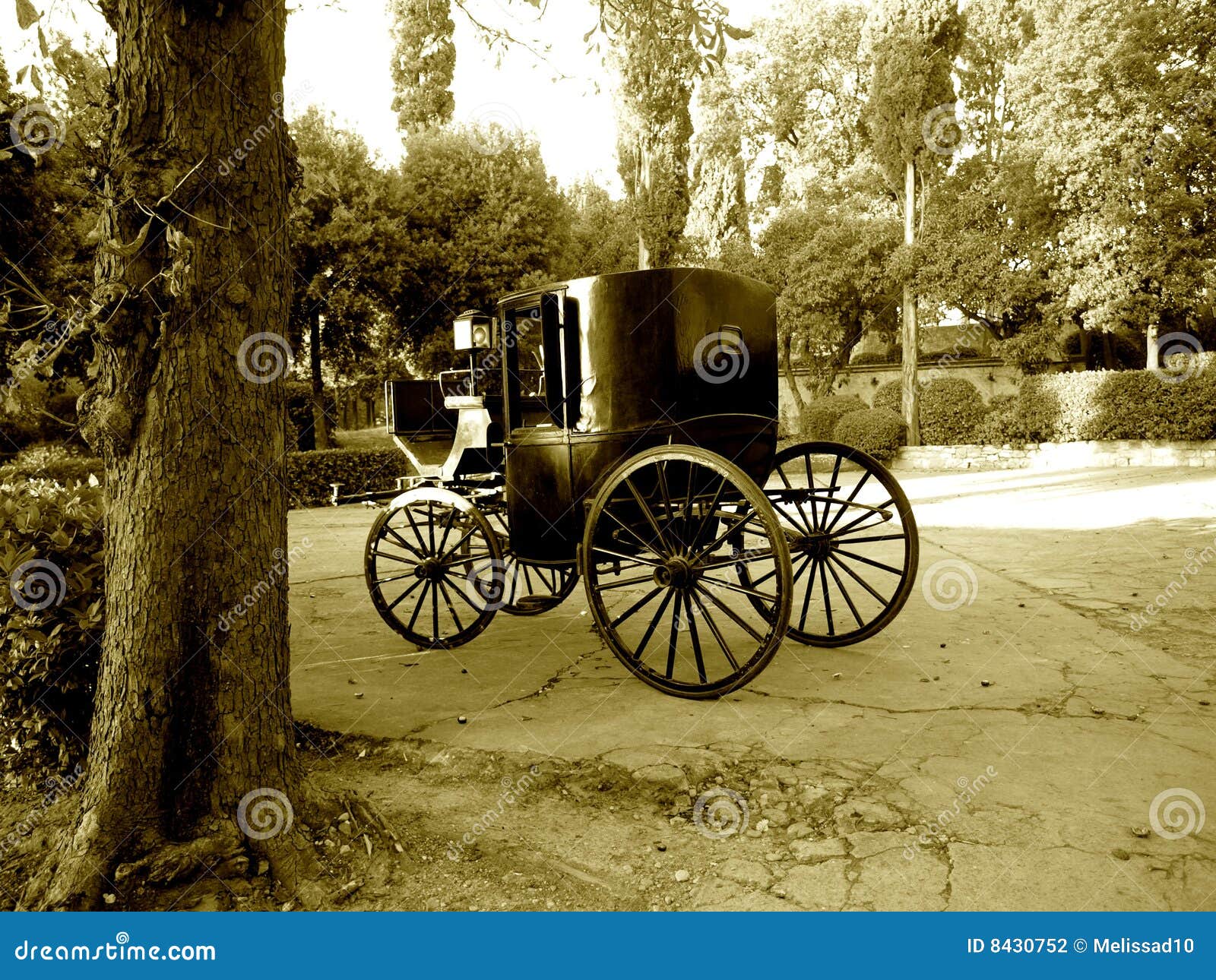 Old carriage stock photo. Image of shield, blue, background - 8430752