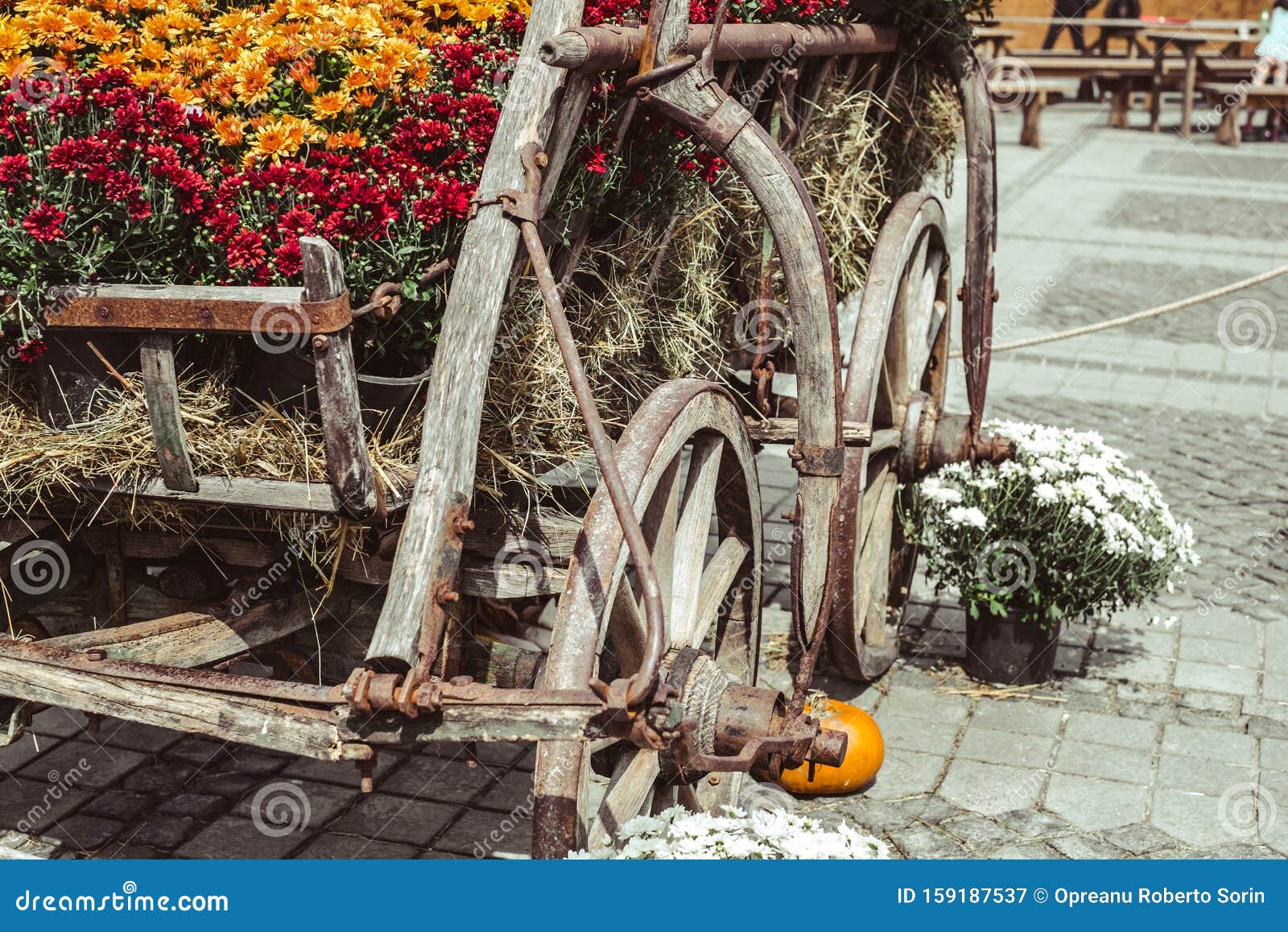 Old Carriage with Rusty Wheels Stock Image - Image of historic, harvest ...