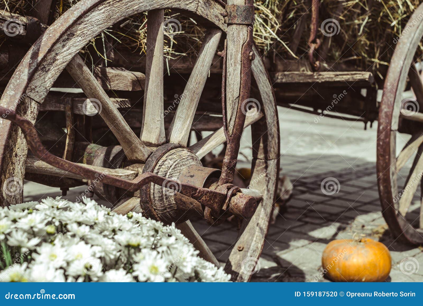 Old Carriage with Rusty Wheels and Pumpkins Stock Photo - Image of ...