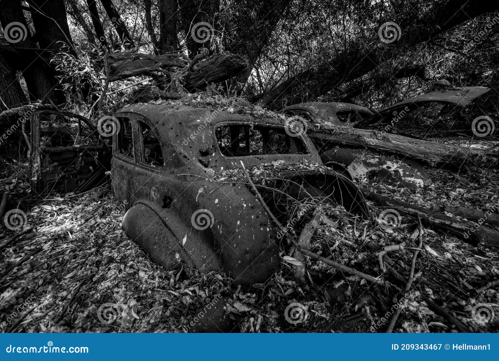 Old Cars Half Buried stock image. Image of retro, american - 209343467