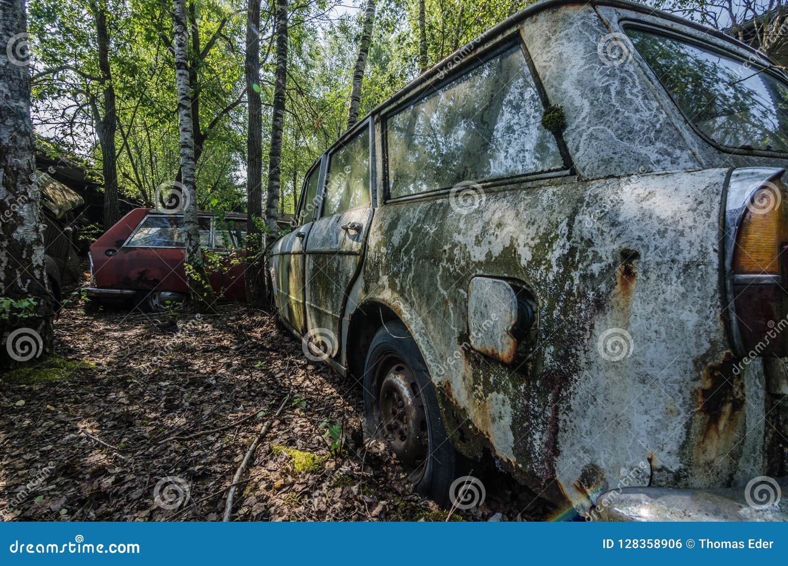 Old cars between trees stock photo. Image of adventure - 128358906