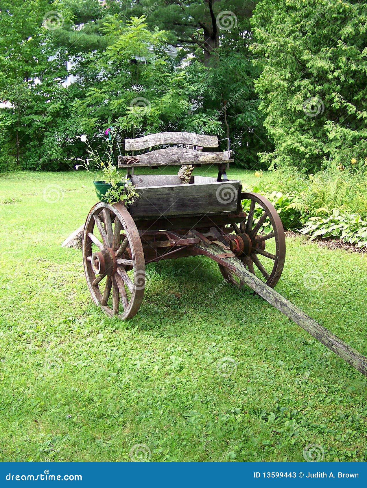 Old Cart stock image. Image of axle, drawn, seat, pulled - 13599443
