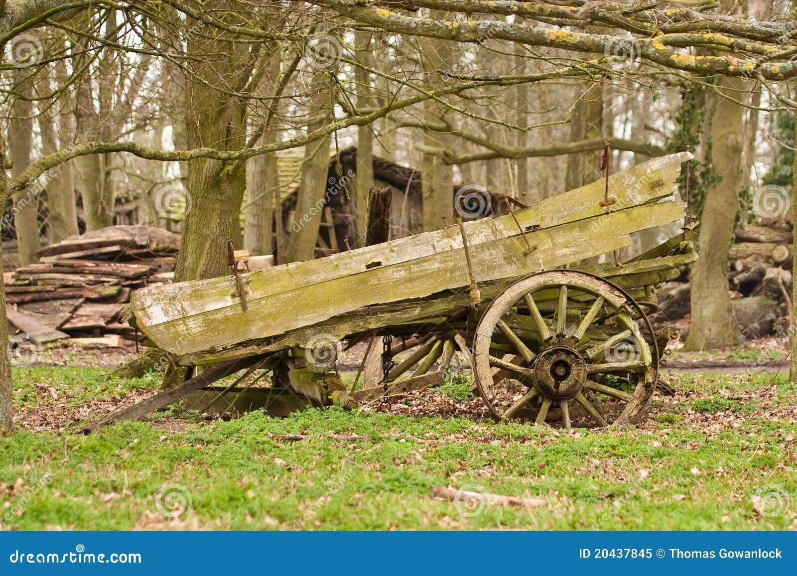 Old cart stock image. Image of grunge, blank, beautiful - 20437845