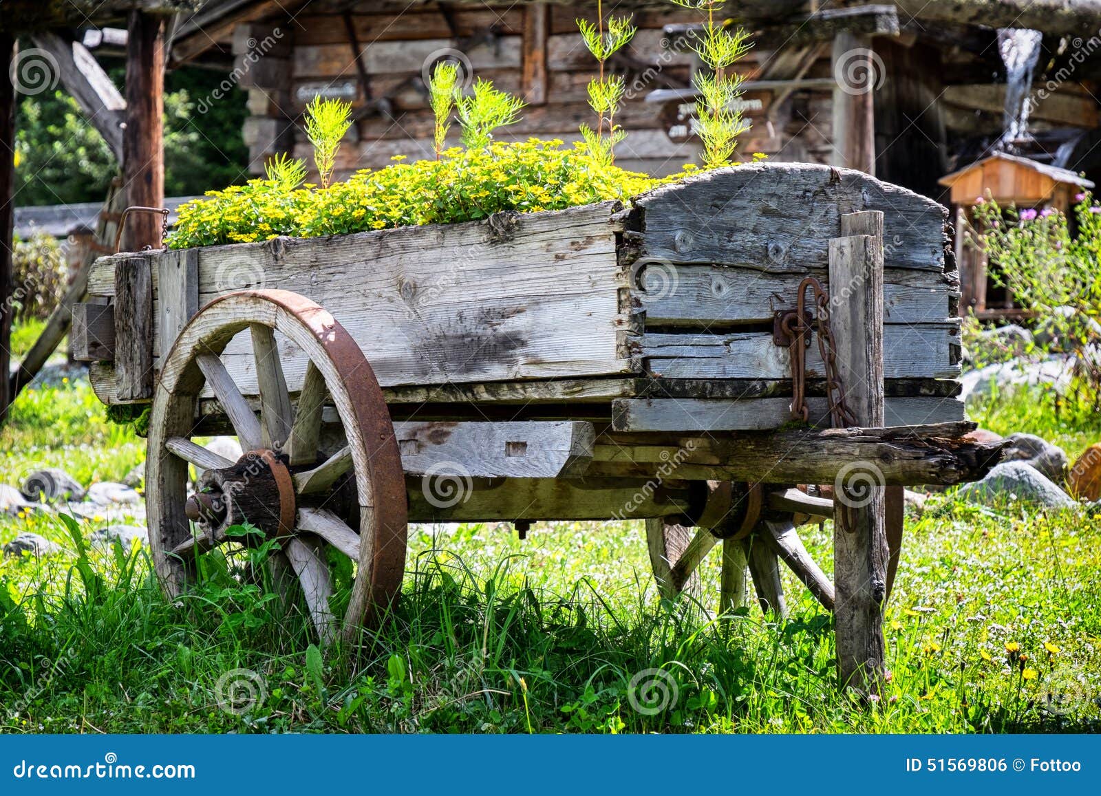 Old cart stock photo. Image of carriage, sunlight, tranquil - 51569806