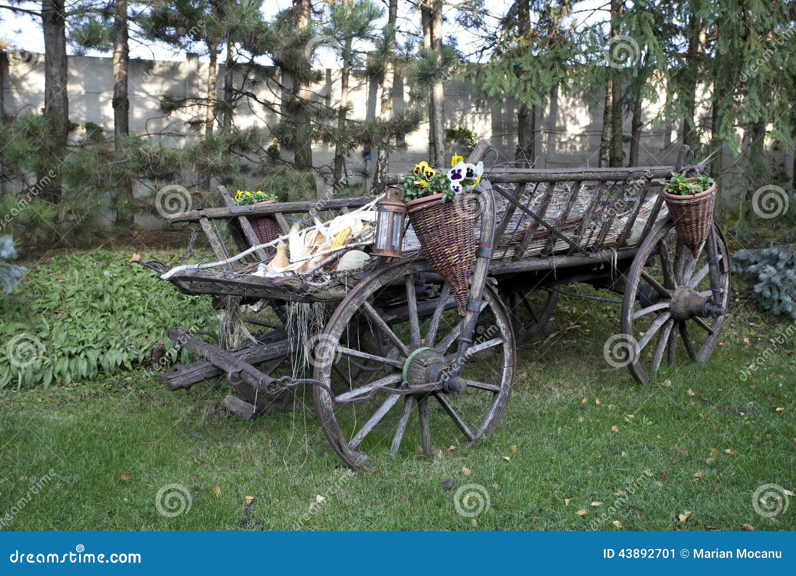 Old cart stock image. Image of catcher, truck, rusty - 43892701
